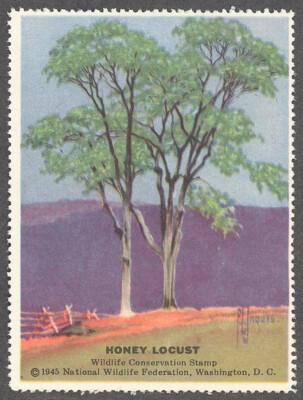 Cinderella Stamp - National Wildlife Federation - Honey Locust - 1945 ...