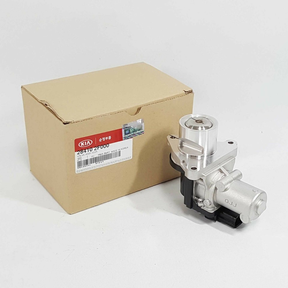 Genuine 284102F000 EGR Valve+ Gasket For HYUNDAI SANTA FE 2.0L 2.2L ...