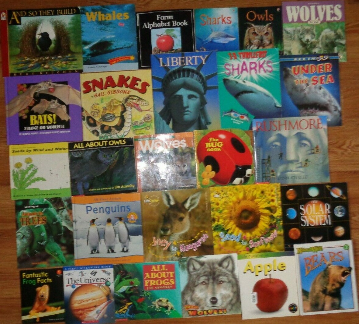 Lot of 5 Non-Fiction Children's Picture Books Unsorted Mixed Science | eBay