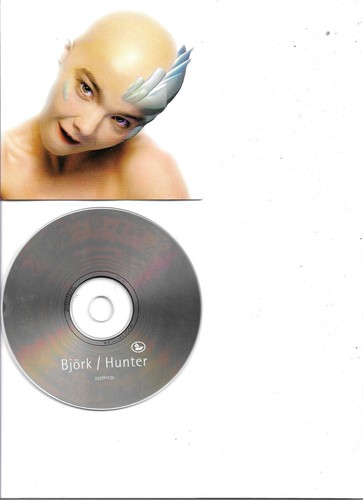 BJORK RARE UK MAXI CD HUNTER | eBay