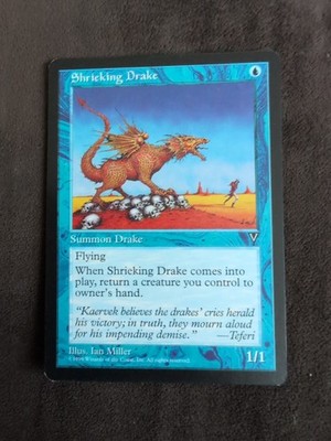 Shrieking Drake [Visions] Magic MTG | eBay