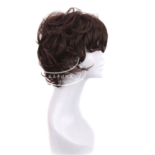 Halloween Mens Bungo Stray Dogs Detective Osamu Dazai Short Wig | eBay