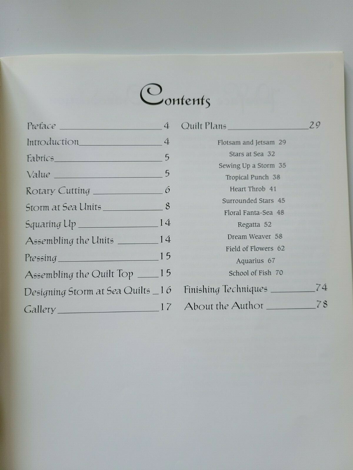 Quilting up a Storm New Ways to Interpret a Classic Block Design Lydia ...