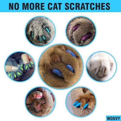 150 Pcs Cat Nail Caps Colorful Pet Claws Covers w/ Adhesive Glue and ...