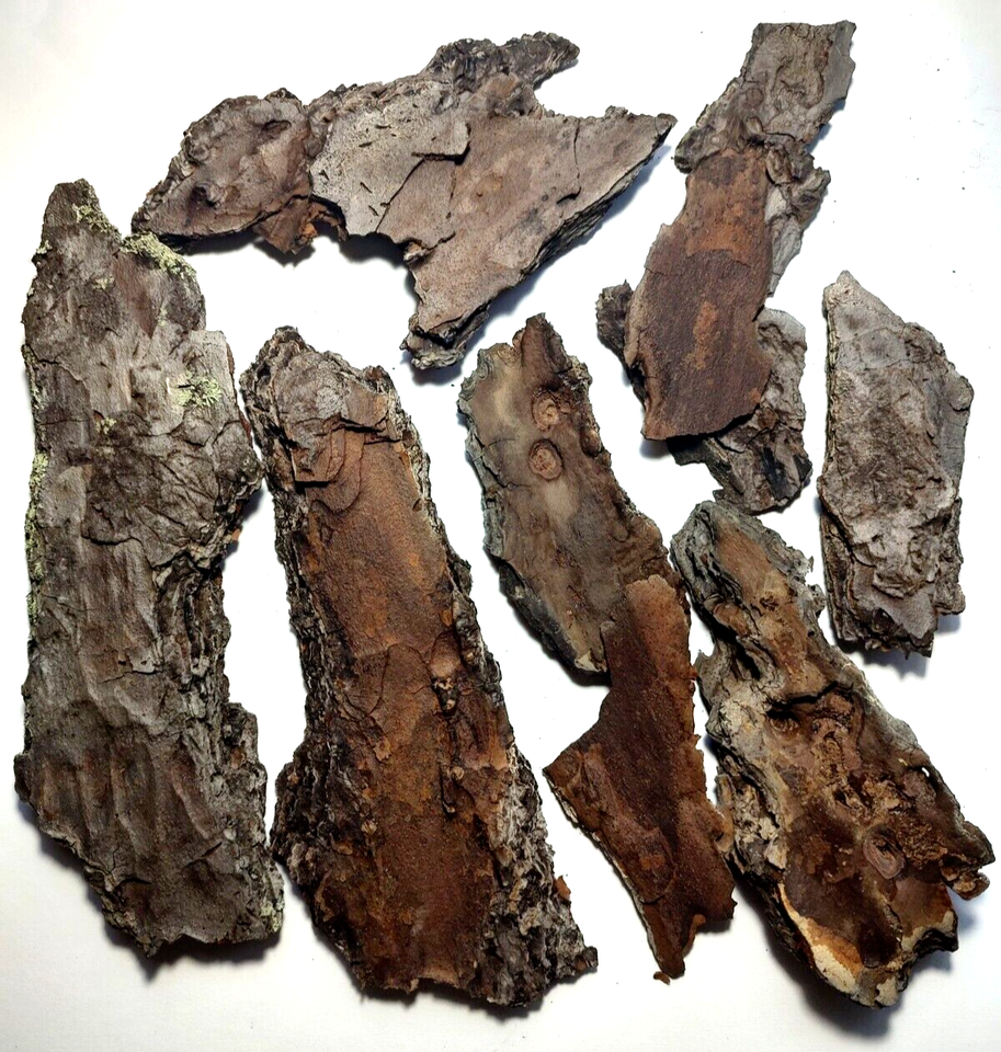 3oz Pine Tree Bark Pieces ~Decorate Terrariums ~Seasonal Arts & Crafts ...