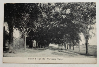 1908 MA Postcard Cape Cod South Wareham Massachusetts Street Scene ...