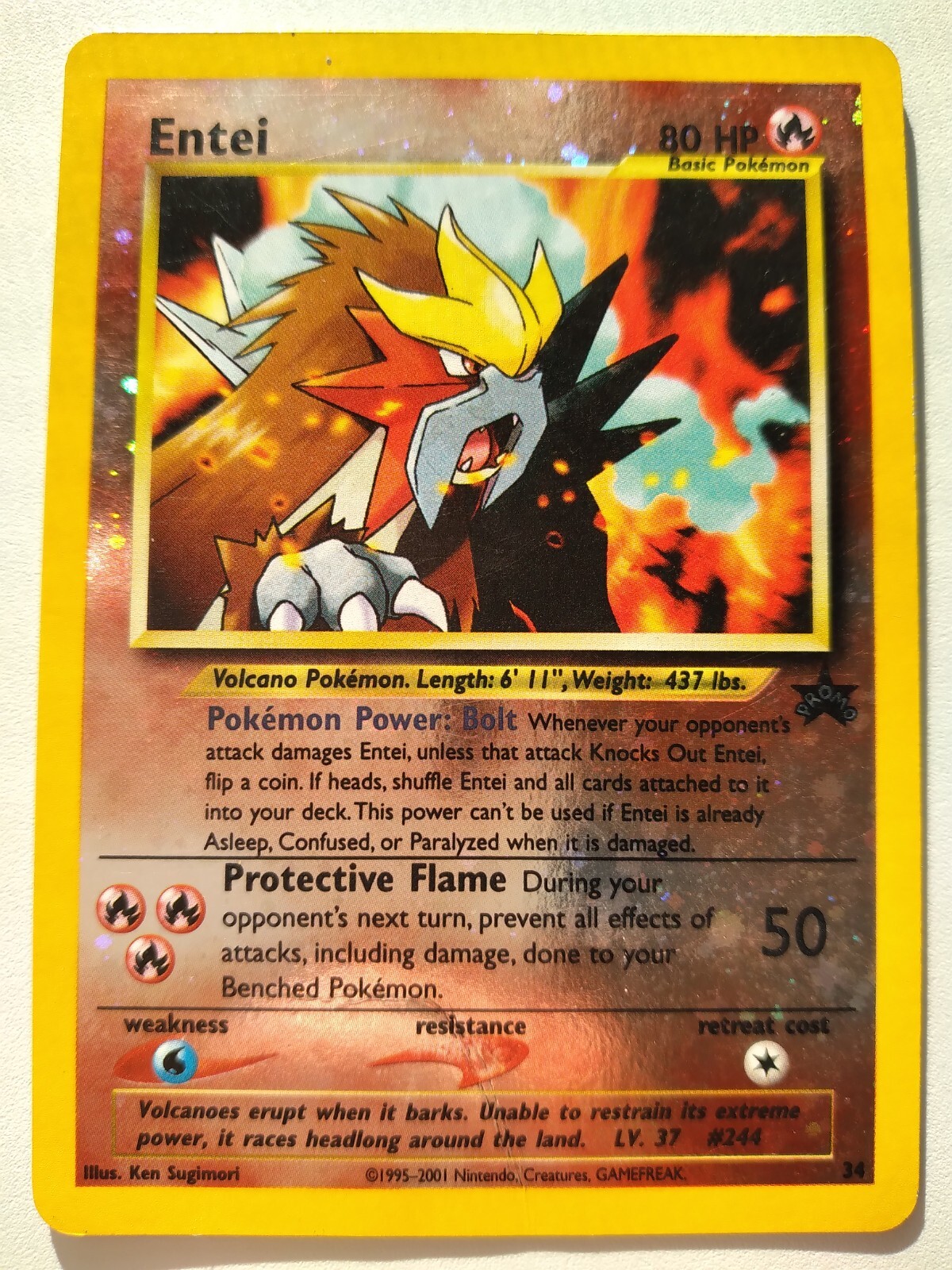 Pokémon TCG Entei Wizards Black Star Promos 34 Holo Promo | eBay
