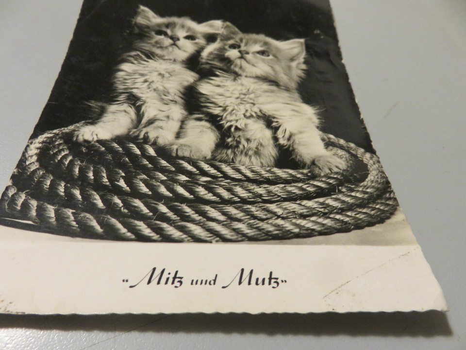 CP Vintage Postcard Kittens Mitz Und Mutz (Animal Theme) Shipped 1966 ...