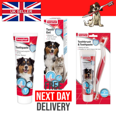 Beaphar Tooth Gel, Toothbrush and Toothpaste Kit for Dogs And Cats | eBay