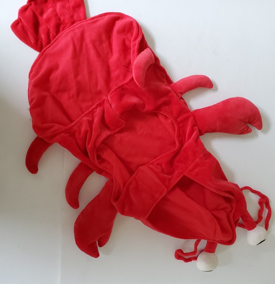 Lobster Crawfish Dog Costume Size Large Red with Hood Belly Straps | eBay