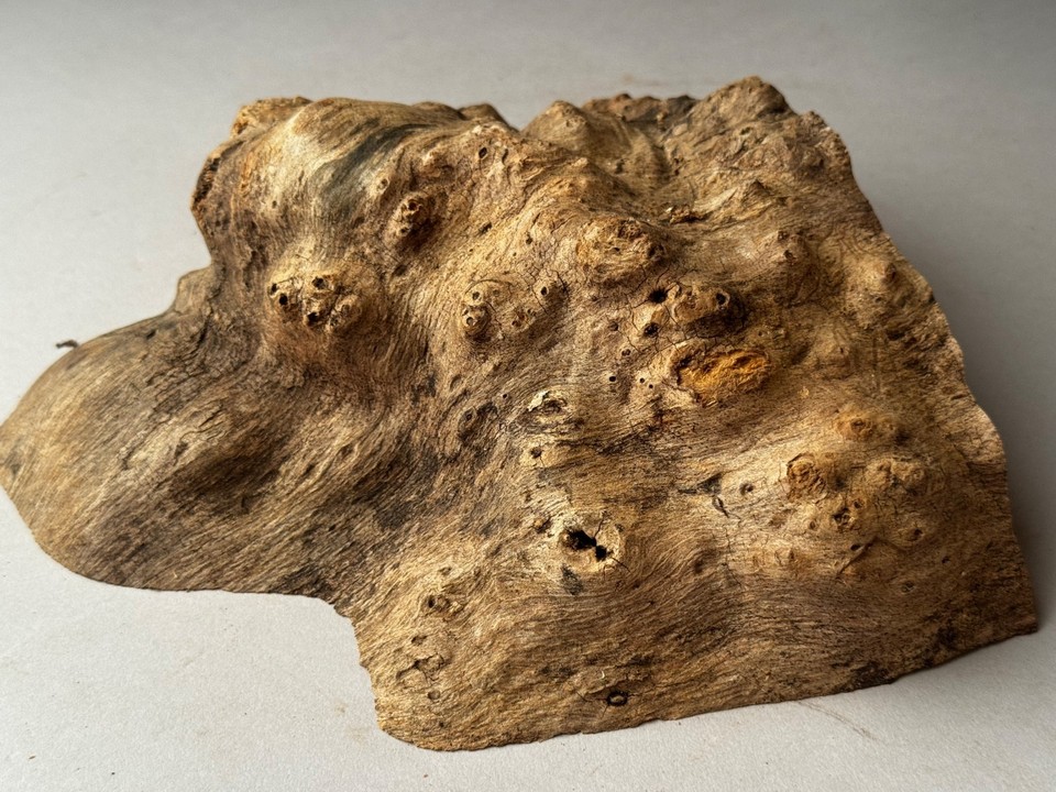 Burr Elm Resin Wood turning Pen clock Bowl Blanks 7x6x2.5 inch .5 KG ...