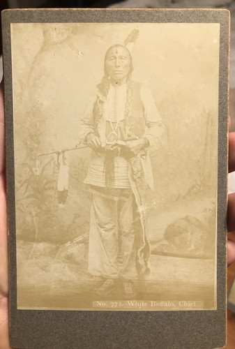 Chief White Buffalo ~ Native American Indian Cheyenne Arapaho Rare ...