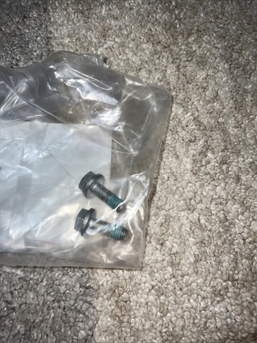 Genuine Disc Brake Caliper Anchor Plate Bolt WHT-010-085 Set Of 2 | eBay