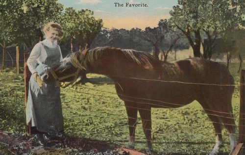 The Favorite Woman with Horse Farm 1912 Posted Divided Back Vintage ...