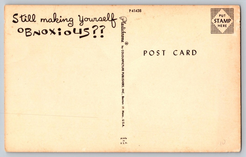 Postcard Humor - Skunk - Hi Stinky - Greetings | eBay