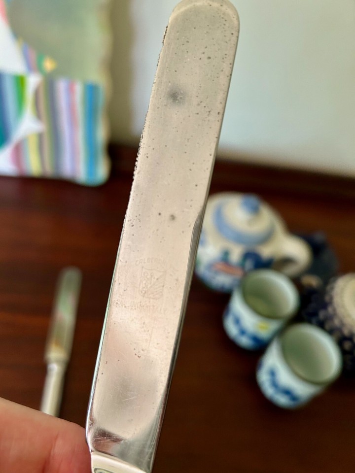 Calderoni/Williams-Sonoma BORROMEO Glossy 18/10 Stainless Flatware ...