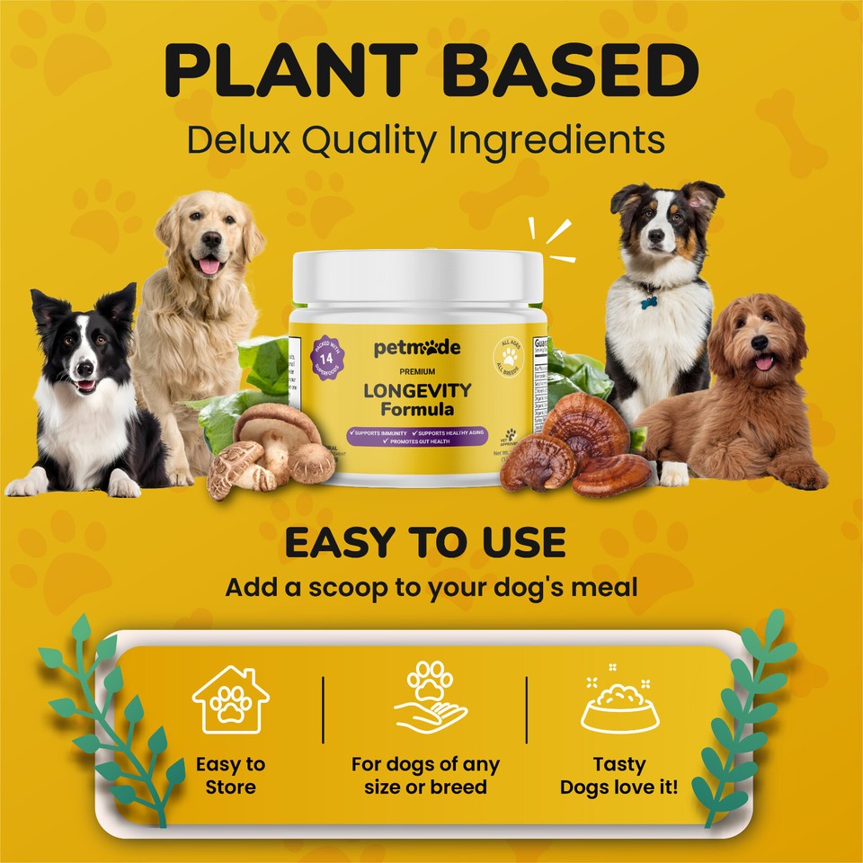 Longevity Formula with Prebiotics & Probiotics, Dog Supplements Powder ...