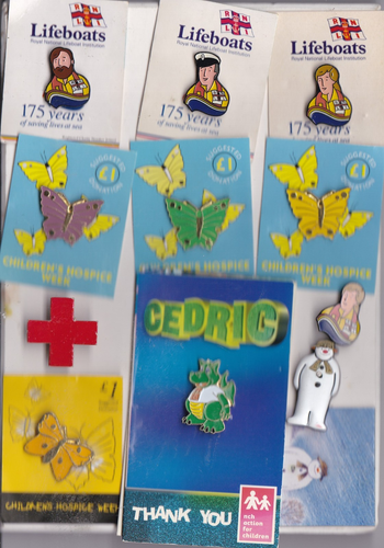 Charity pin lapel badges 25 all shown on two boards vg | eBay UK