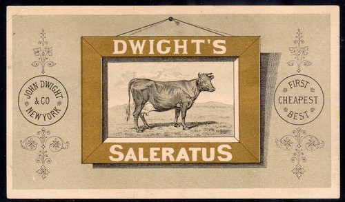 NY 1880s "Dwight's Cow Saleratus" cow Trade Card | eBay