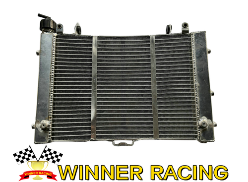 Aluminum Radiator Fit 1290 Super Duke GT 2016-2018, 61435010000 ...