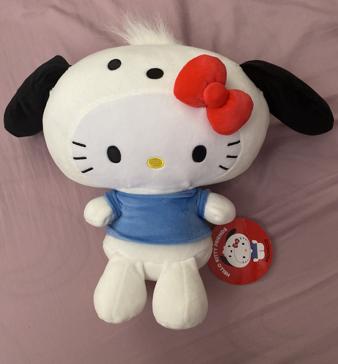Pochacco And Hello Kitty