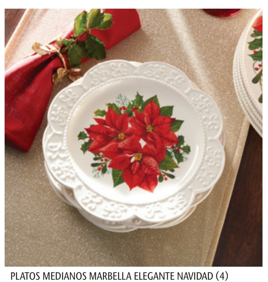 Princess House New 16_Piece Dinnerware Set | eBay