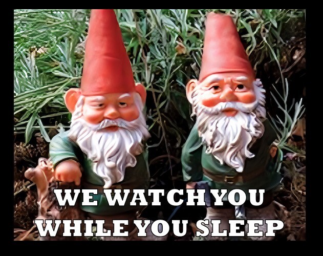 Lady Garden Gnome Memes Happy Birthday Gnome Meme Stock Illustrations