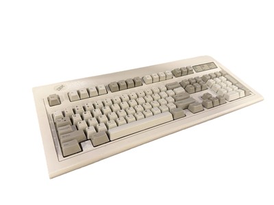 IBM Model M Mechanical Keyboard (1391401) - PS/2 Modified 31352000073| eBay