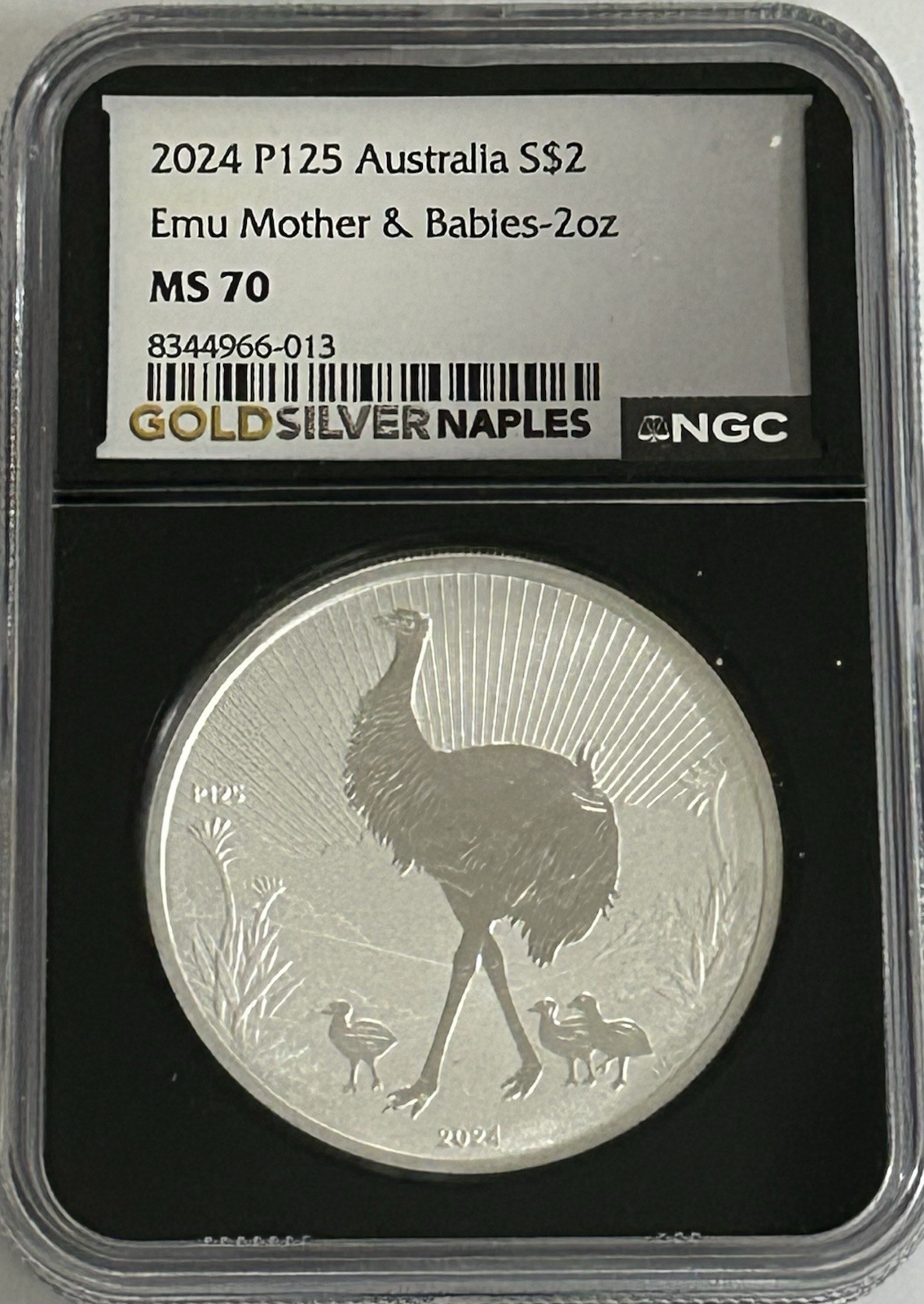 2025 P125 Australia S$2 Emu Mother And Babies 2 Oz Ms 70 | eBay