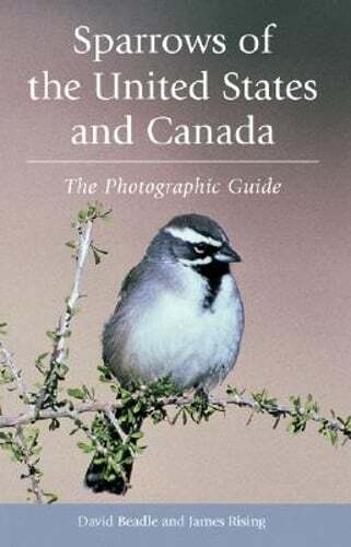 Sparrows of the United States and Canada: The Photographic Guide by ...