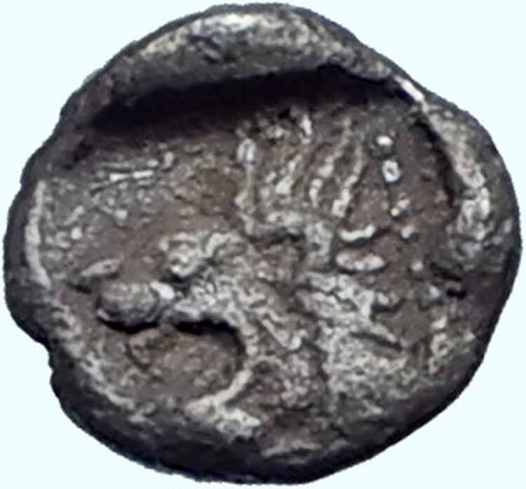KYZIKOS in MYSIA 525BC Tetartemorion Boar Lion Ancient Silver Greek ...