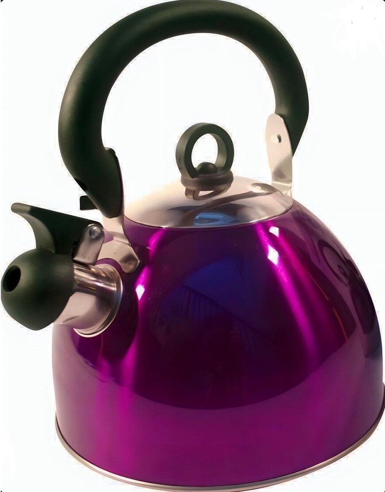 Induction Stove Top Whistling Kettle 3L Stainless Steel Camping Holiday ...