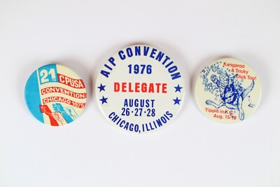 1976 Third Party Counterculture Presidential Campaign Pinback Button ...