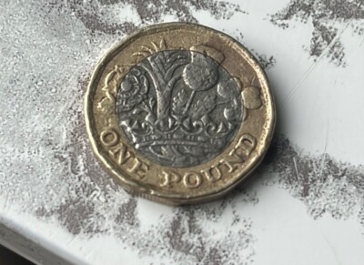 2017 Elizabeth II one pound D.G. R.E.G. F.D rare coin | eBay