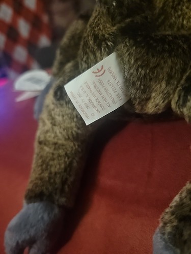 Ty Beanies Slowpoke The Sloth Rare and RETIRED WITH ERRORS | eBay