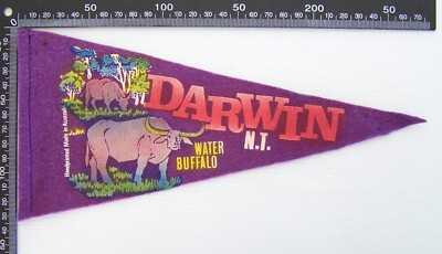 VINTAGE DARWIN NORTHERN TERRITORY SOUVENIR PENNANT FELT CLOTH WALL FLAG ...