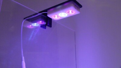 Refugium light CHAETO C3L Mini Refug LED Light For Small Tanks | eBay