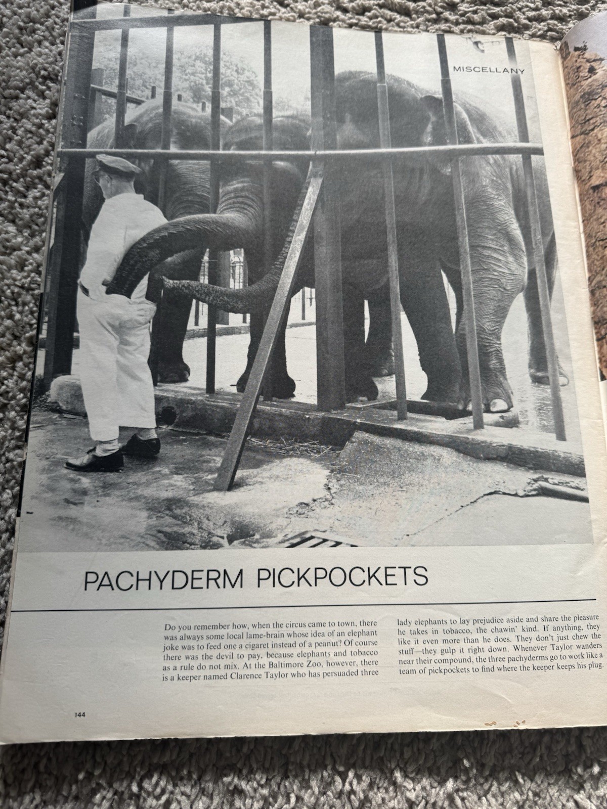 Life - October 2, 1964 Back Issue for sale online | eBay
