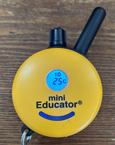 E-Collar Mini Educator ET-300 Remote + Charger Only - Working | eBay