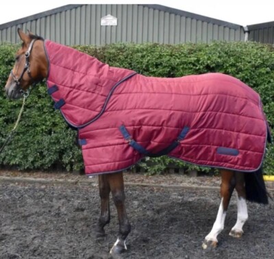 WHITAKER WISTERIA 200G DETACHABLE NECK STABLE RUG | eBay UK