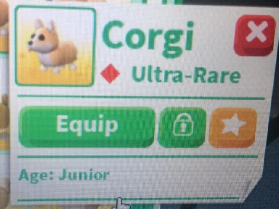 ROBLOX ADOPT ME ULTRA RARE PETS BUNDLE LOT x12 CORGI CHOW-CHOW VIRTUAL ...