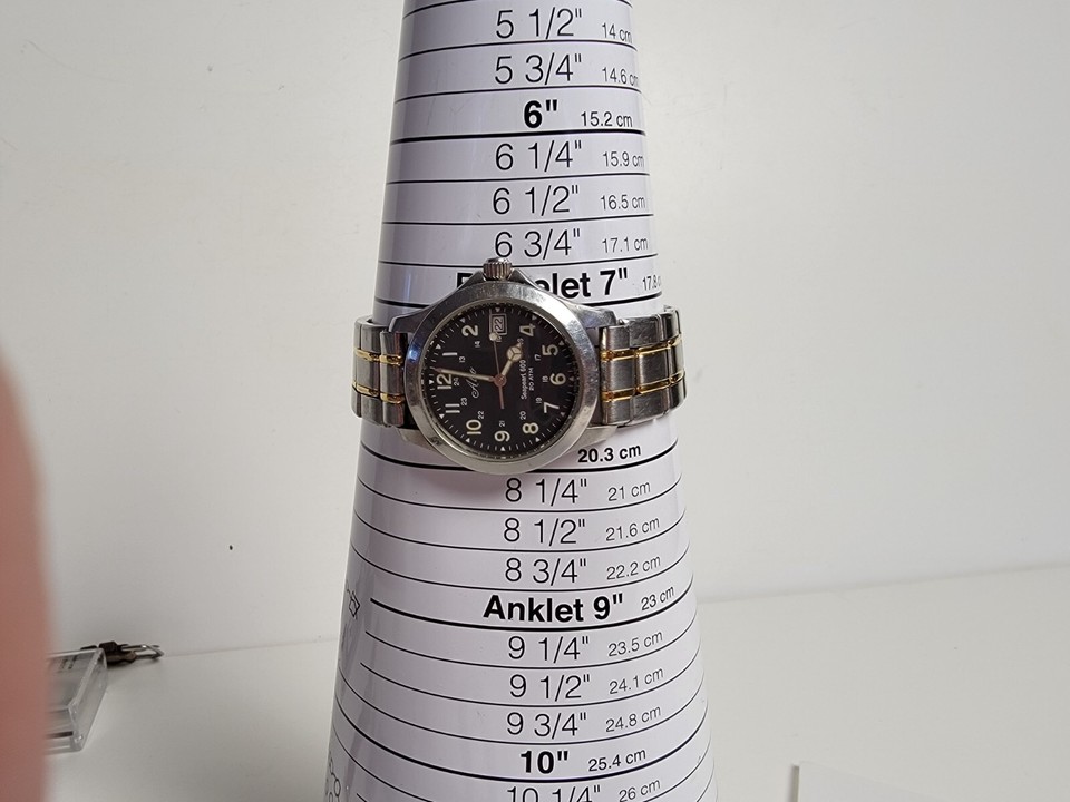Seapearl 600 men’s 7j Swiss quartz date diver all stainless watch 955. ...