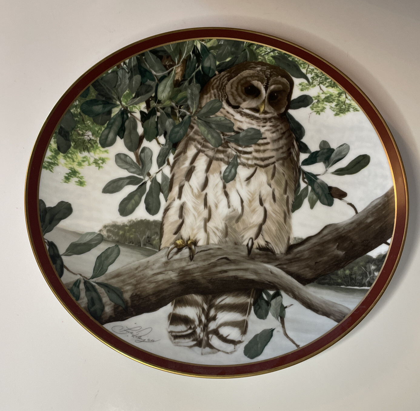 Hamilton Collection Majestic Birds of Prey Collector's Plate BARRED OWL ...