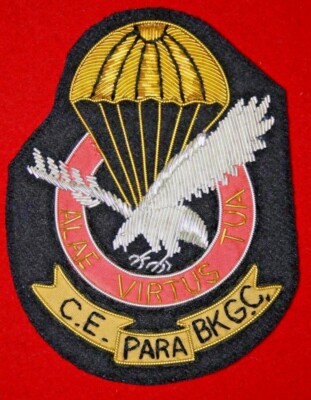 BELGIUM PARA COMMANDO BULLION PARACHUTE AIRBORNE BELGIAN SPECIAL FORCES ...