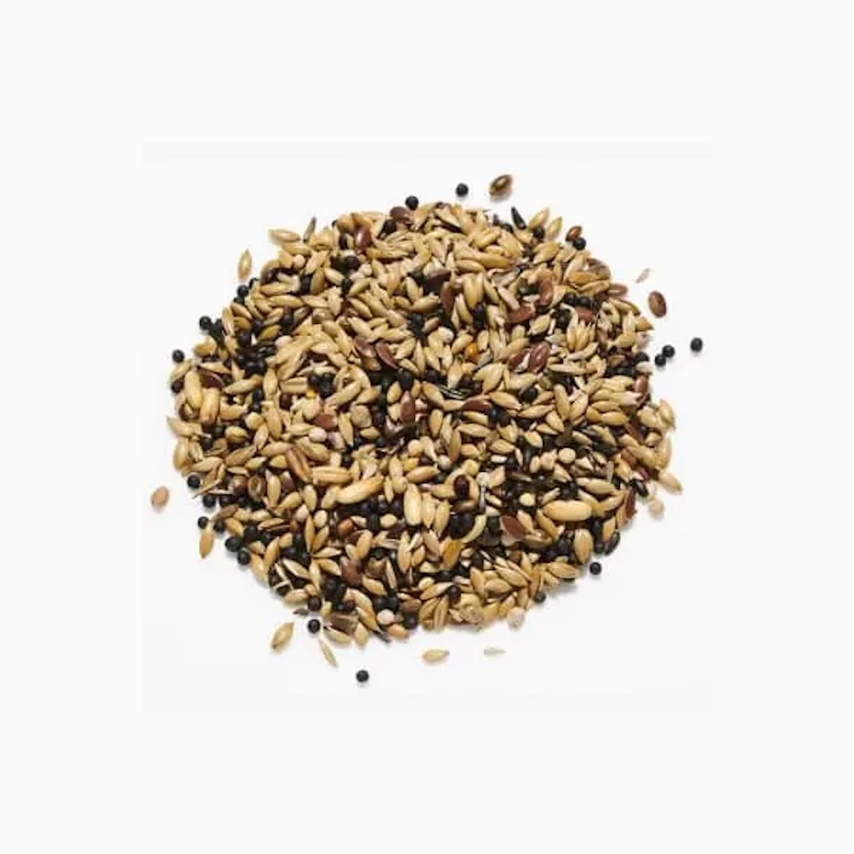 British finch Seed mix Goldfinch Hawfinch Chaffinch Siskin FREE ...