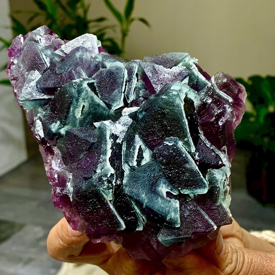 1.93LB Rare transparent purple-green cubic fluorite mineral crystal ...