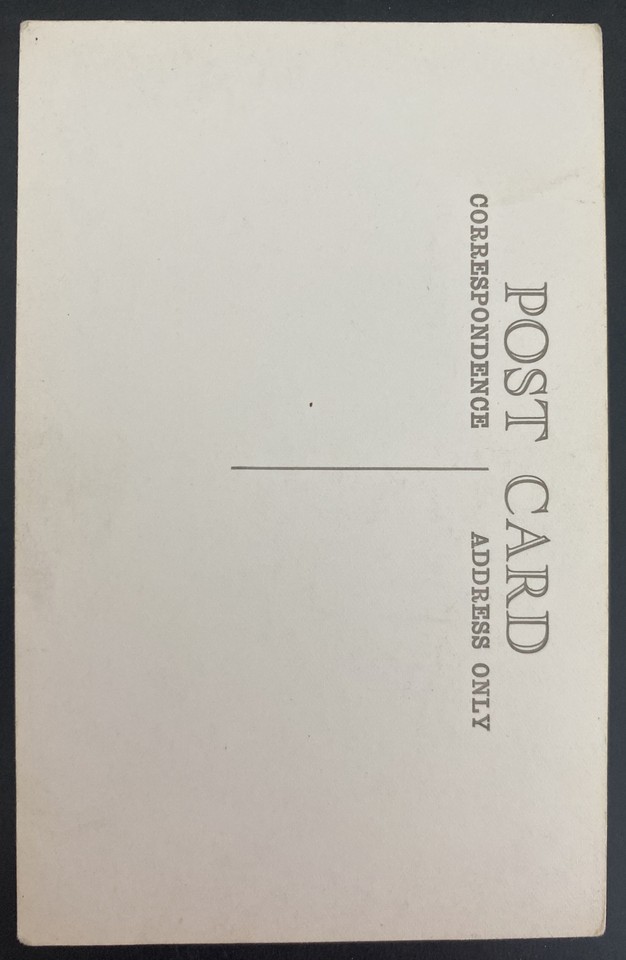 Mint Real Picture Postcard Native American Indian Chief Max Big Man ...