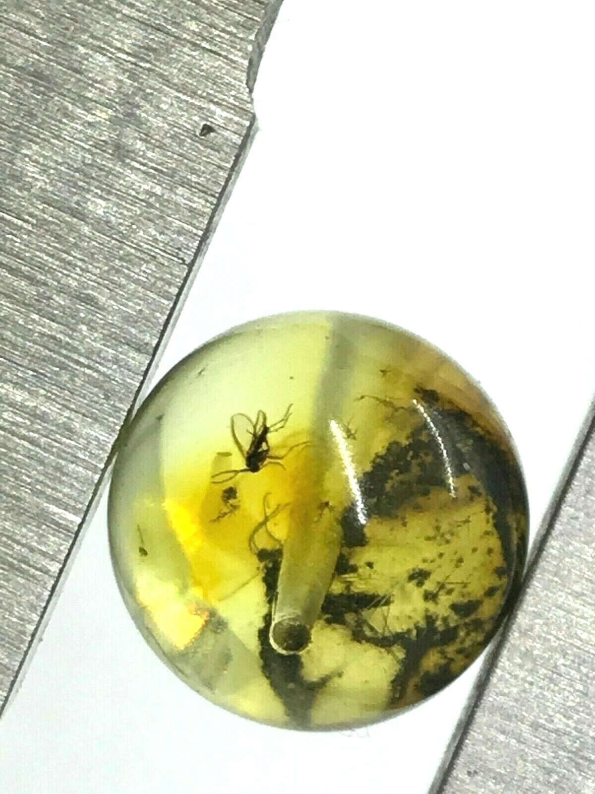 AMBER 3 Insects Round Bead DRILLED For Prayer Bracelet Necklace Baltic ...