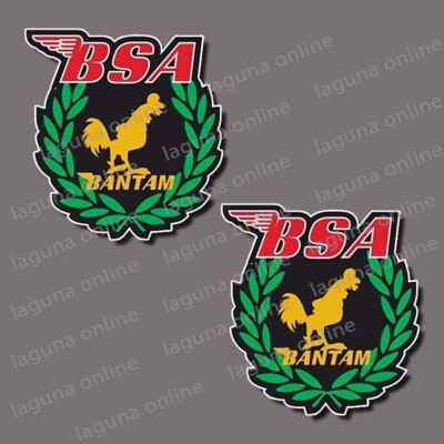 Autocollant décalcomanie imperméable brillant logo BSA 2 | eBay
