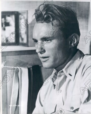 1960 Actor James Olson in The World of Suzie Wong Press Photo | eBay